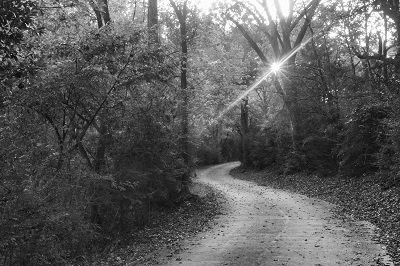 Trinity River Corridor Project